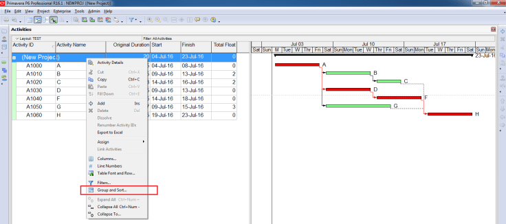 How to display Multiple Critical path in Primavera P6 – Khuong Do Blog