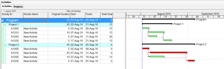 How to display just One Critical path with Multiple projects open in ...