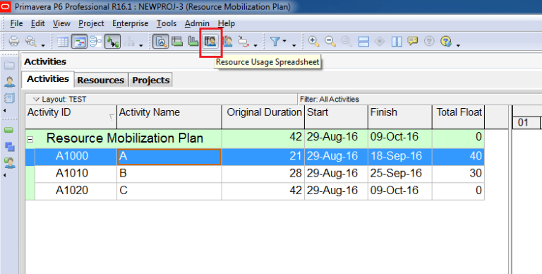 How to make a labor, equipment mobilization plan in Primavera P6 ...