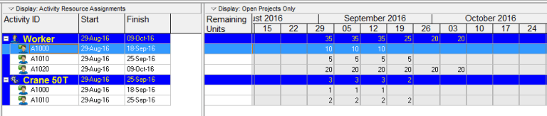 How to make a labor, equipment mobilization plan in Primavera P6 ...