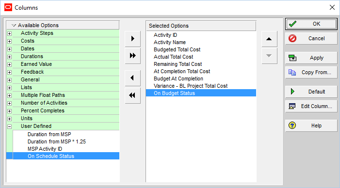 How to quickly identify Behind Schedule and Over Budget activity by ...